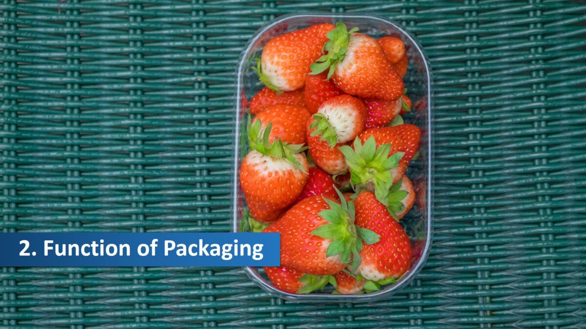 Sustainable Plastic Packaging: The Fundamentals of Good Design ...